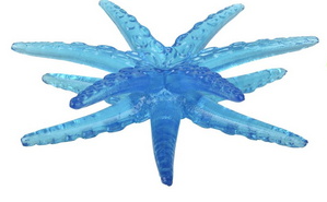 Sticky Starfish Tumbler – So Chic Boutique